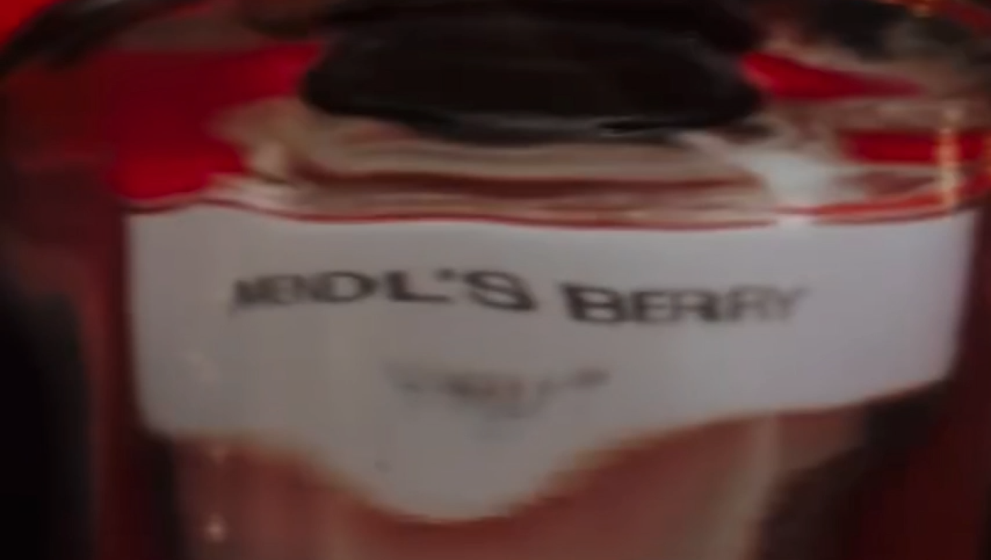 Vibes Lab – Vibeslabstore